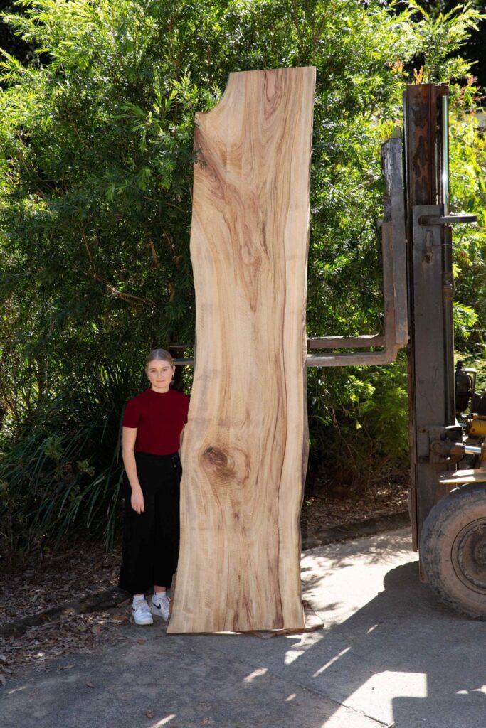 Camphor Laurel Timber Slabs Benchtops Furniture Kiln Dried